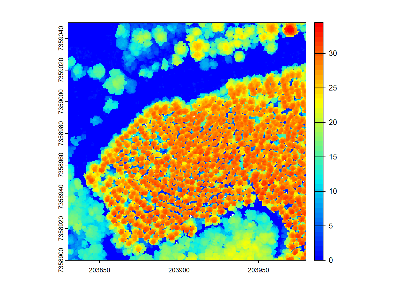 lidRtutorial - Individual Tree Detection & Segmentation